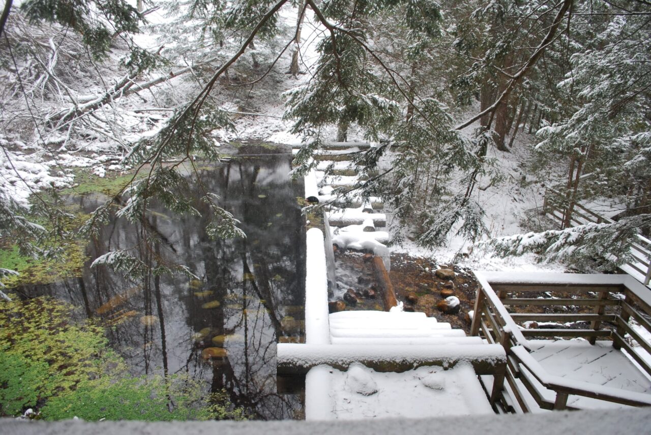 Discover Winter | Oscoda, Michigan