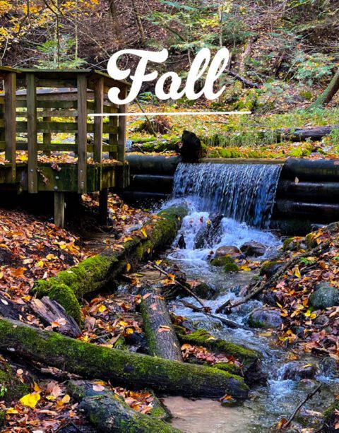 Plan Your Visit | Oscoda, Michigan