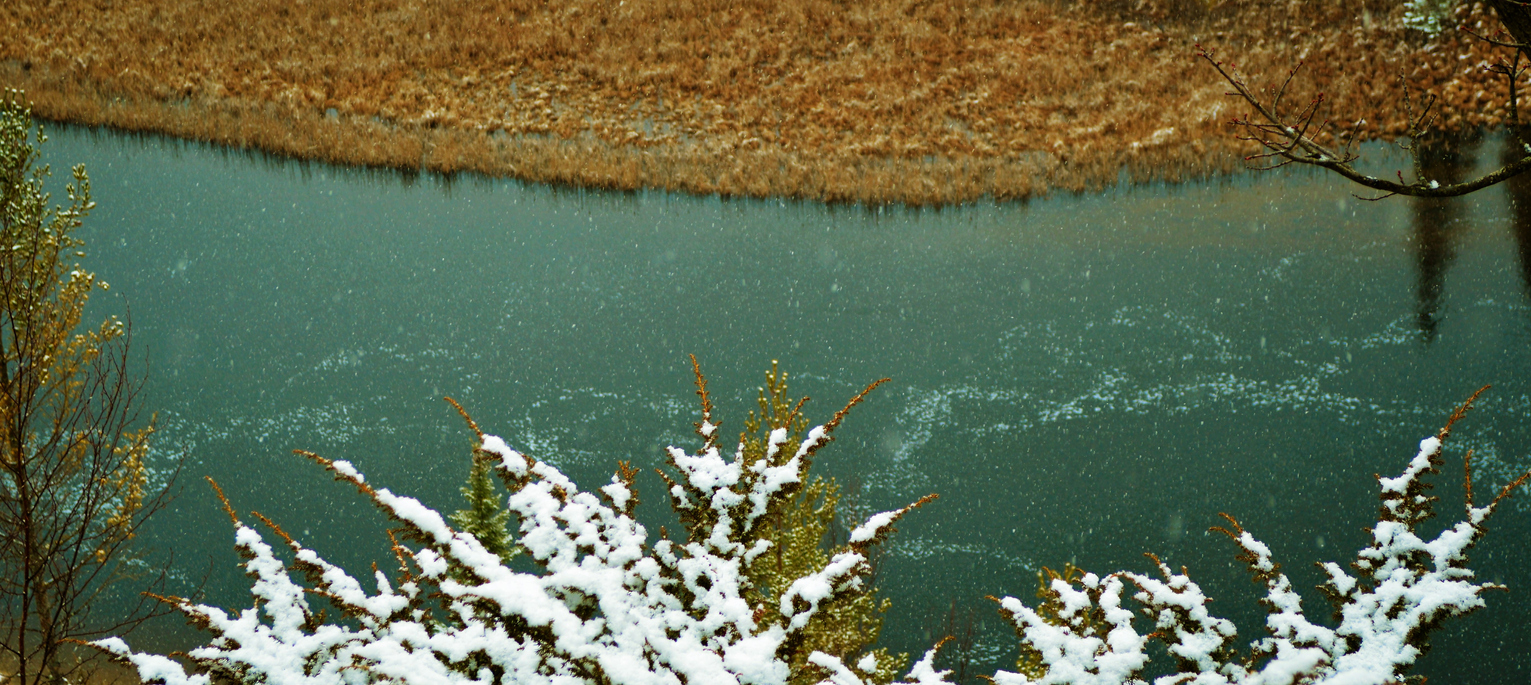 Oscoda, Michigan | Official Travel and Tourism Website